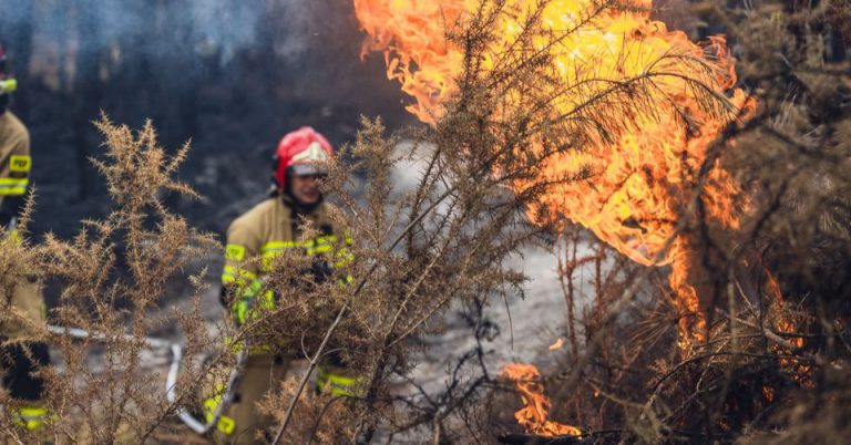 Nowy moduł GFFF - pierwszy tego typu w Polsce - Strazacki.pl portal o ...